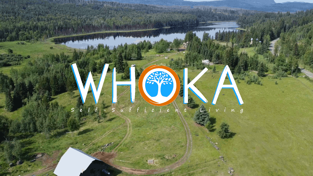 About Us | WHOKA